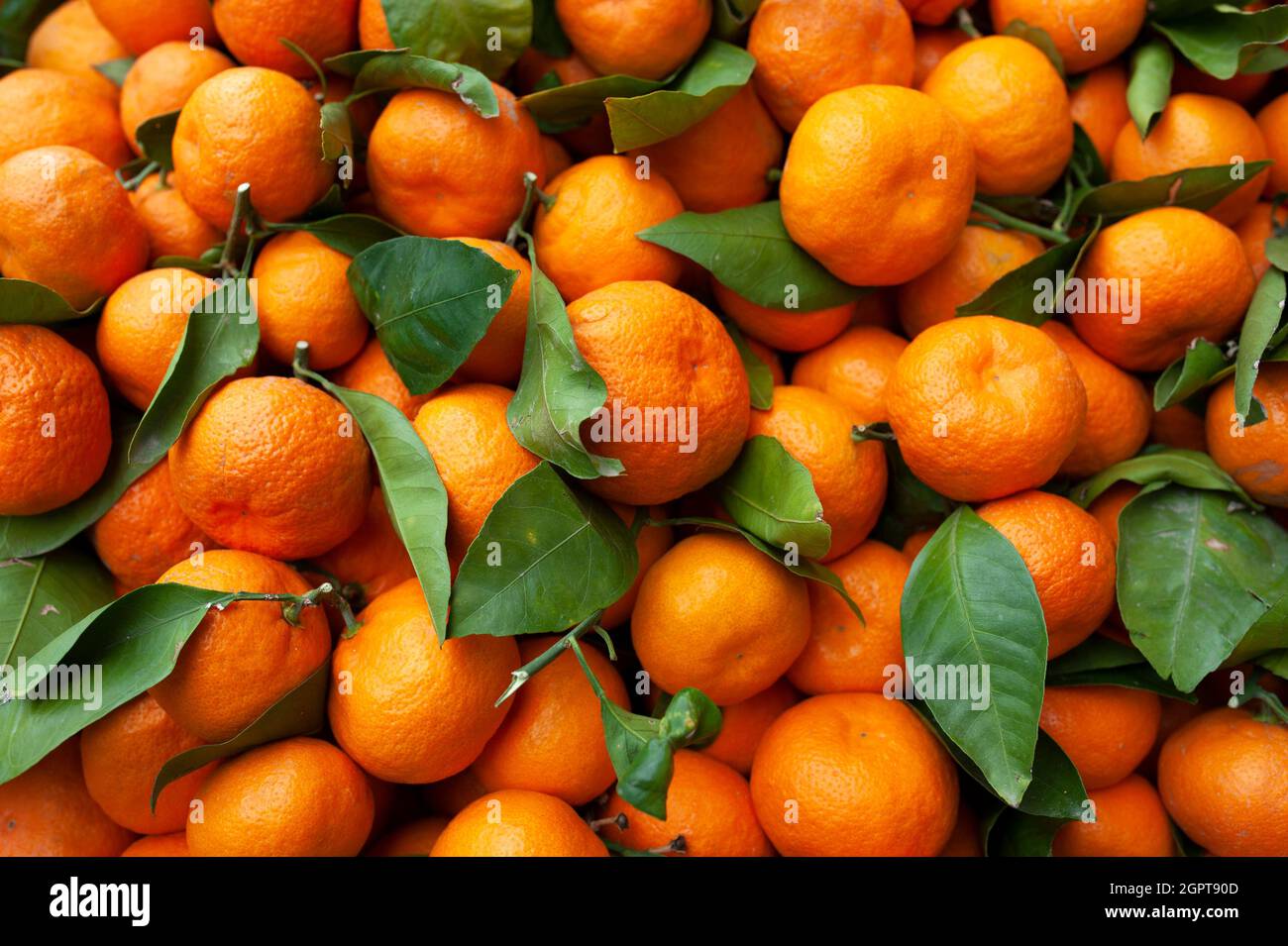 Color ready to use hi-res stock photography and images - Alamy