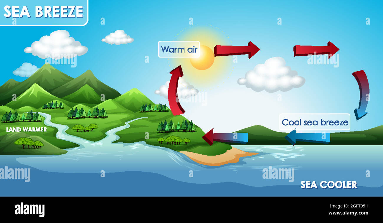 Learning marine science hi-res stock photography and images - Alamy