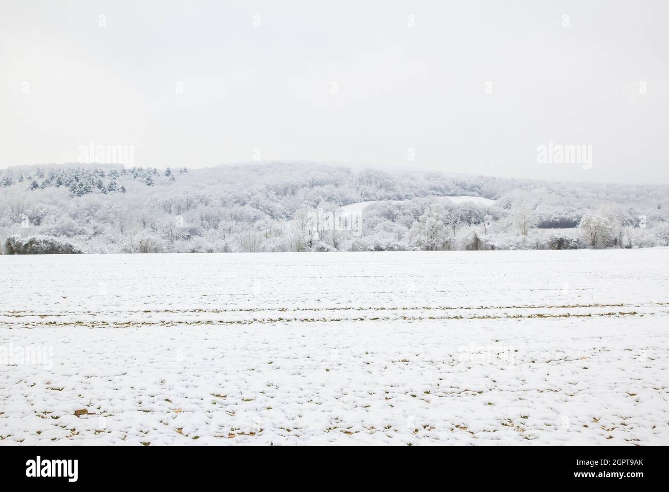 Paysage de campagne en hiver hi-res stock photography and images - Alamy