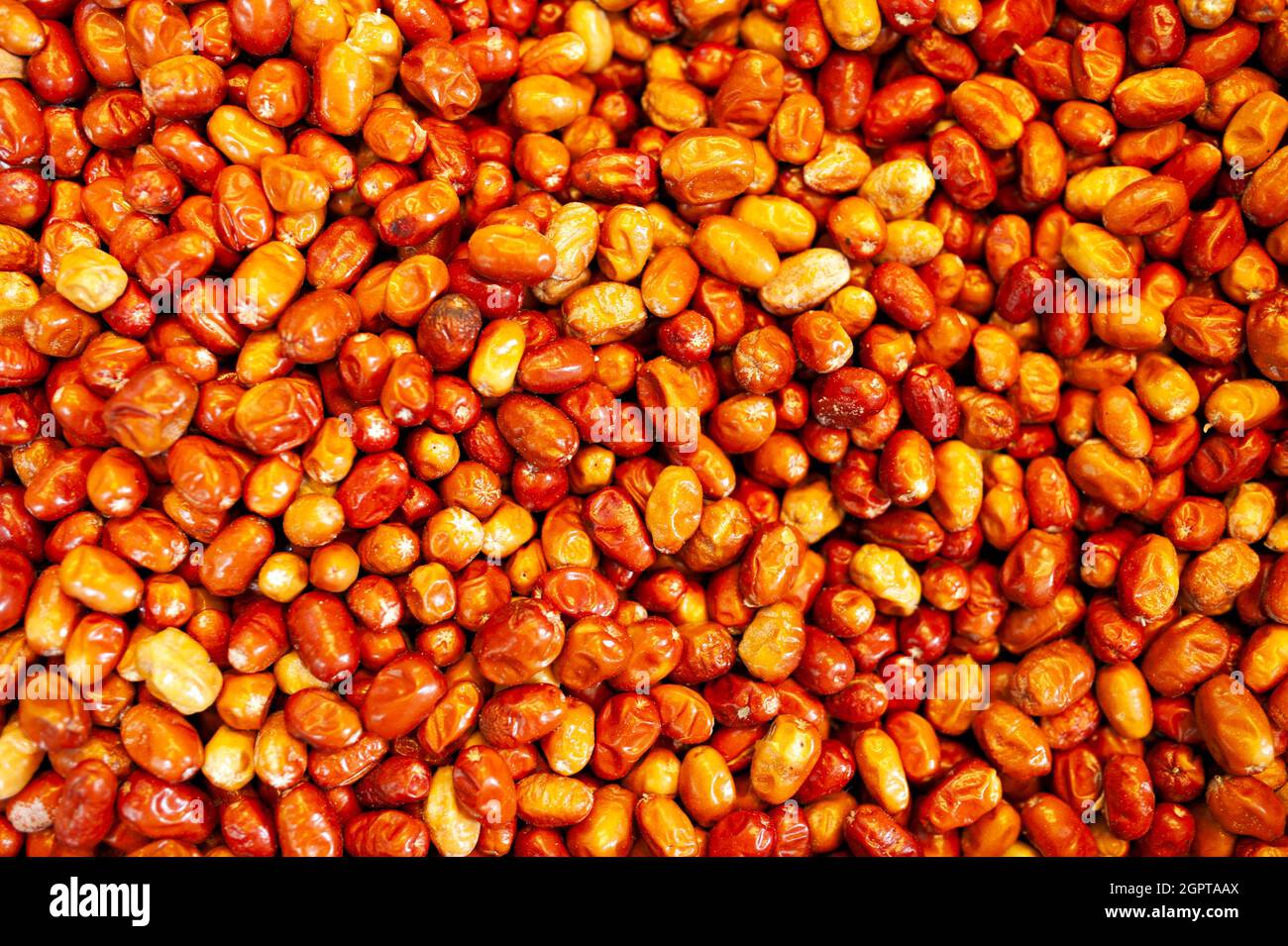 Silverberry hi-res stock photography and images - Alamy