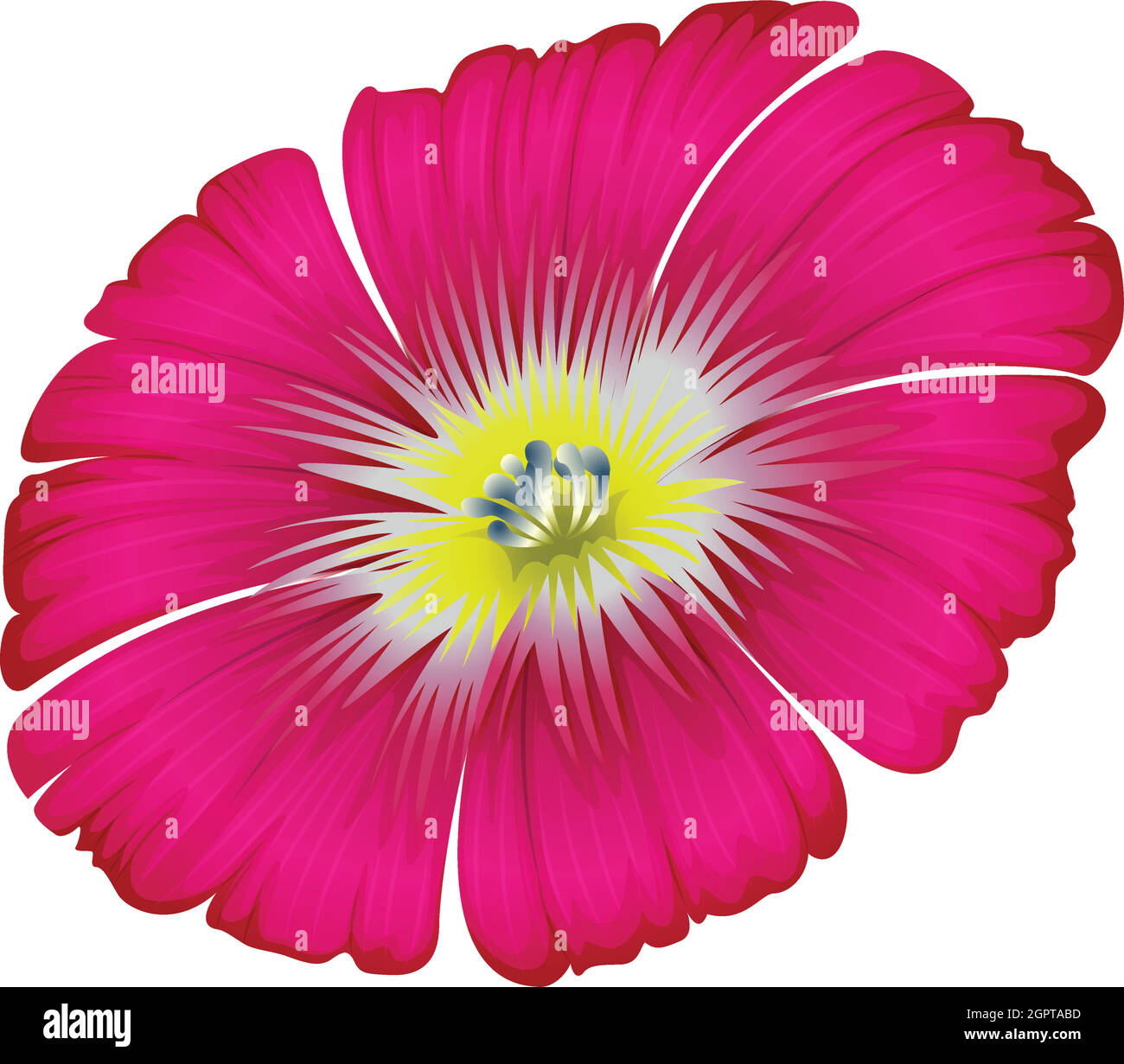 Pink flower illustration Stock Vector Images - Alamy