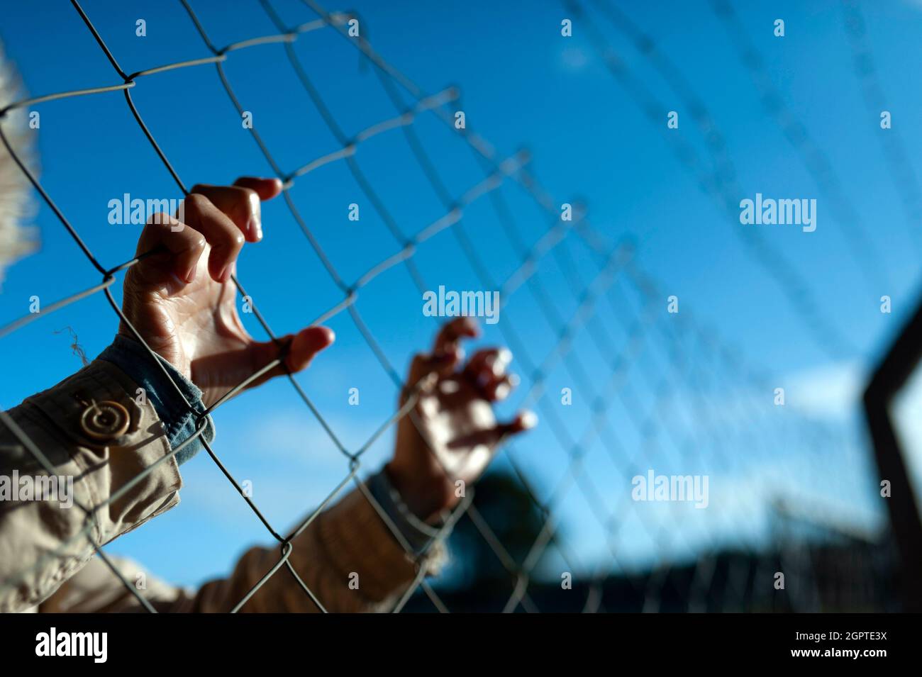 Lady's hand clinging to wire mesh, Behind the barrier Stock Photo - Alamy