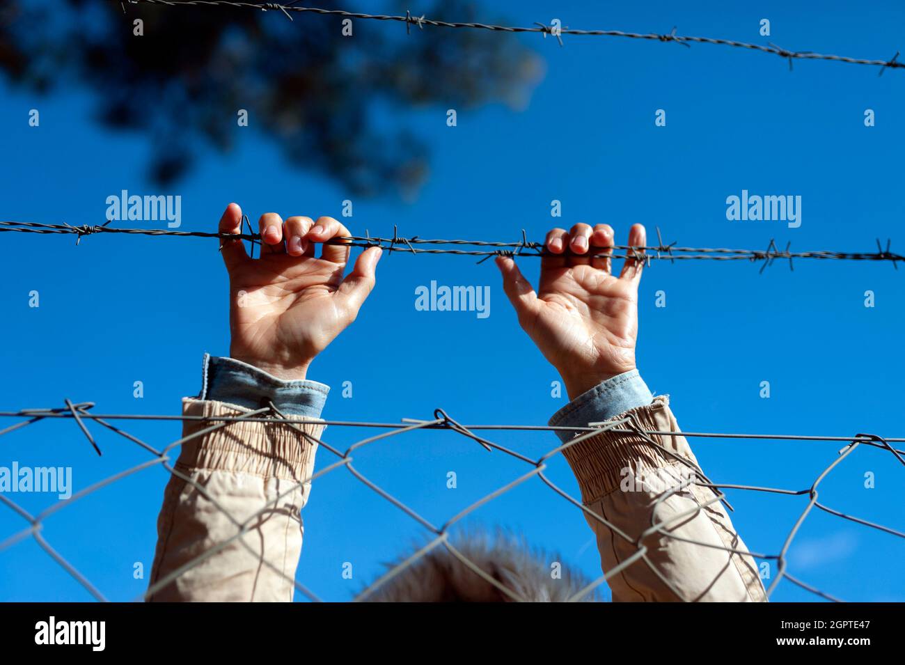 Lady's hand clinging to wire mesh, Behind the barrier Stock Photo - Alamy
