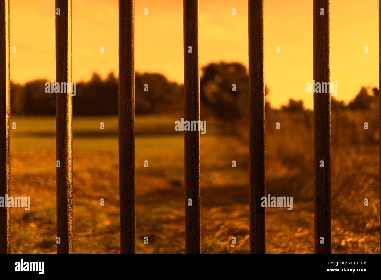Prison bars silhouette hi-res stock photography and images - Alamy