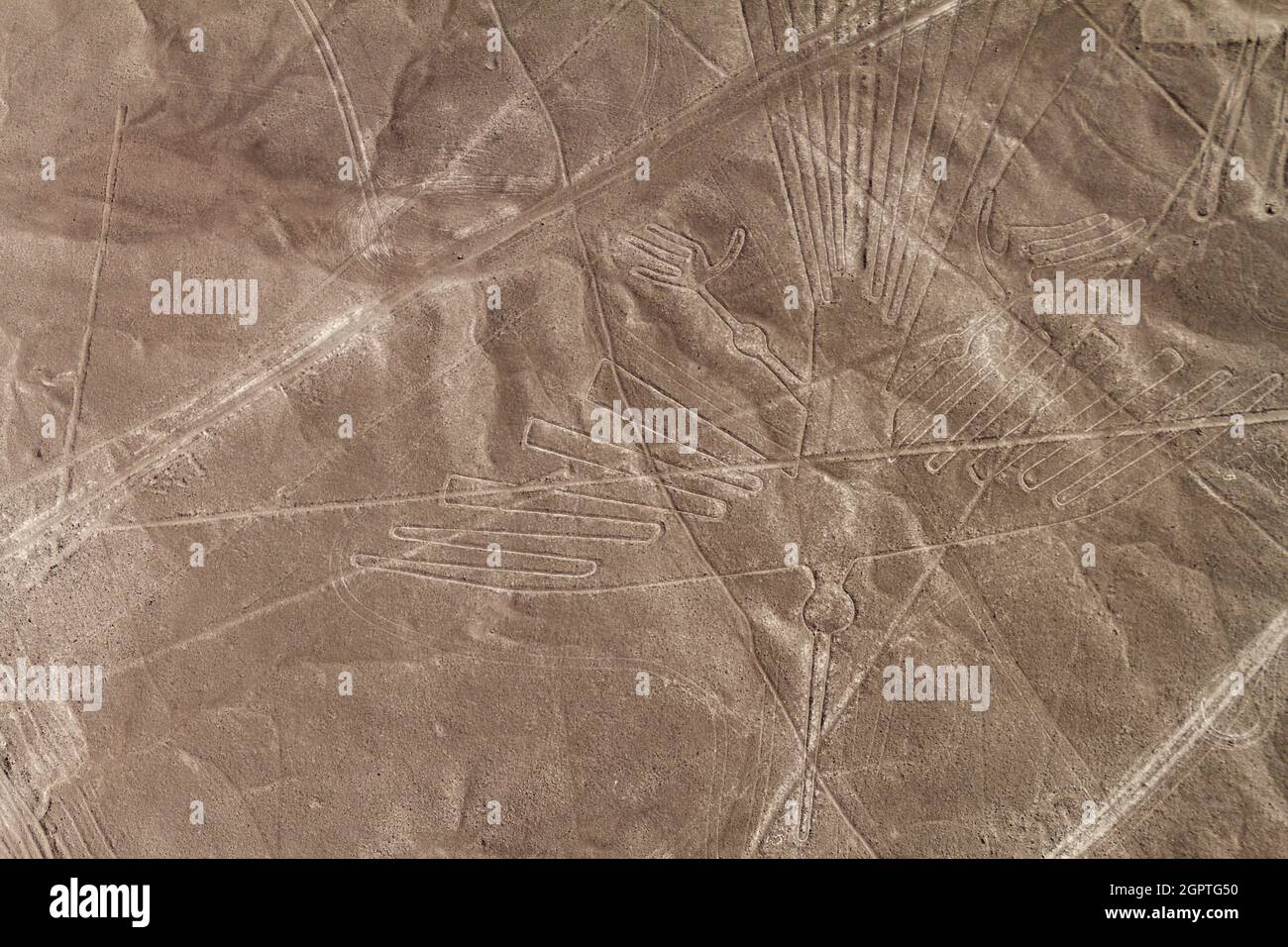 Aerial view of geoglyphs near Nazca - famous Nazca Lines, Peru. Condor ...