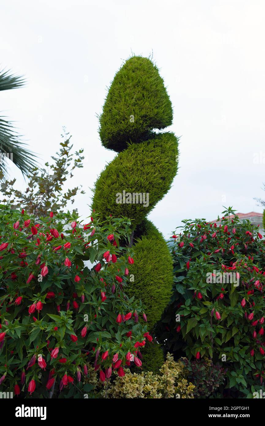 Public park tree hi-res stock photography and images - Alamy