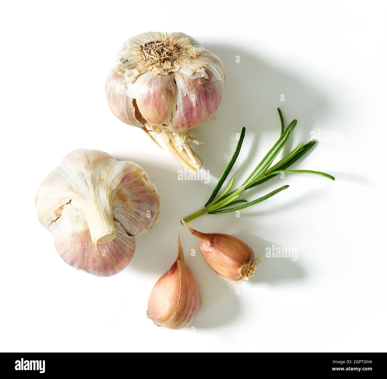 Garlic knobs with roesemary branch isolated on white background; top ...