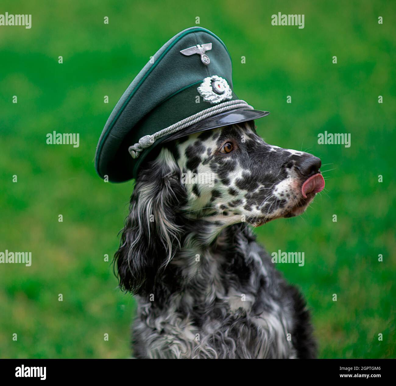 World war ii skull hi-res stock photography and images - Alamy