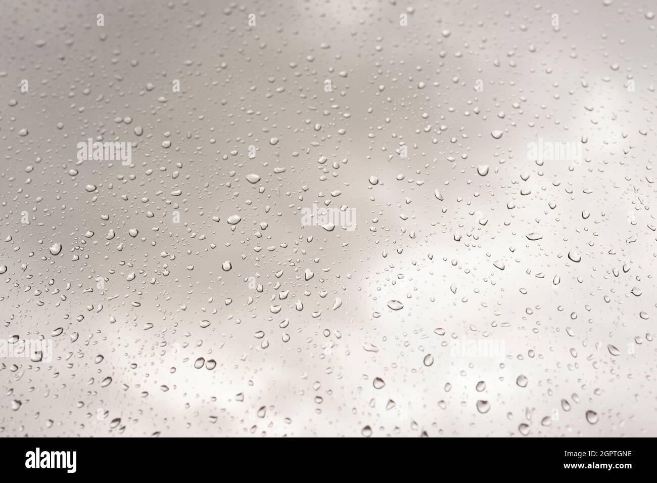 Rainy day, Raindrops on the window glass Stock Photo - Alamy