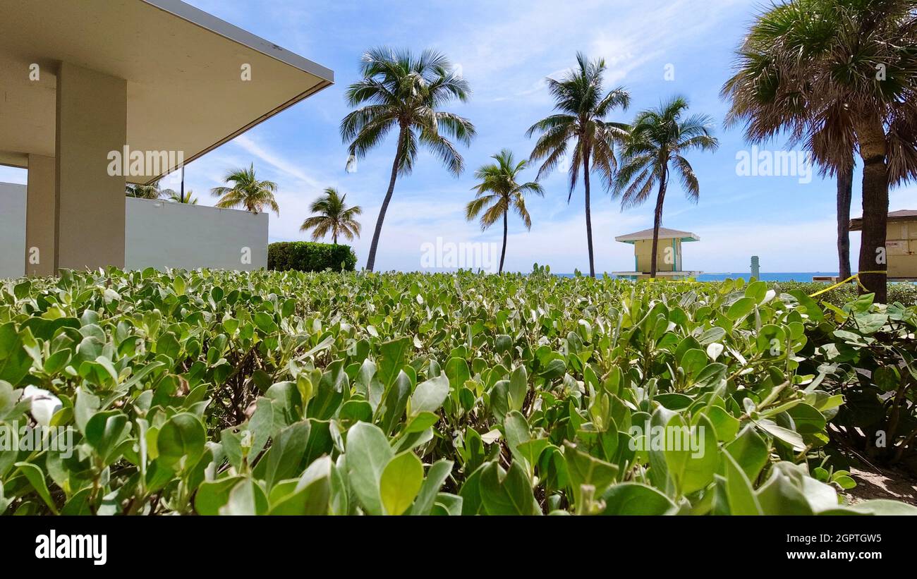 Dania beach to do hi-res stock photography and images - Alamy