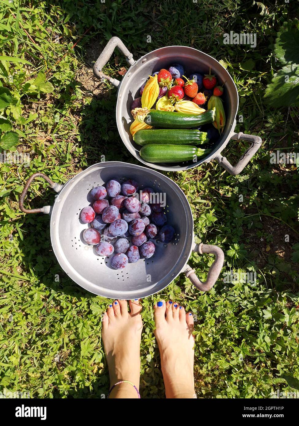 Chiari High Resolution Stock Photography and Images - Alamy