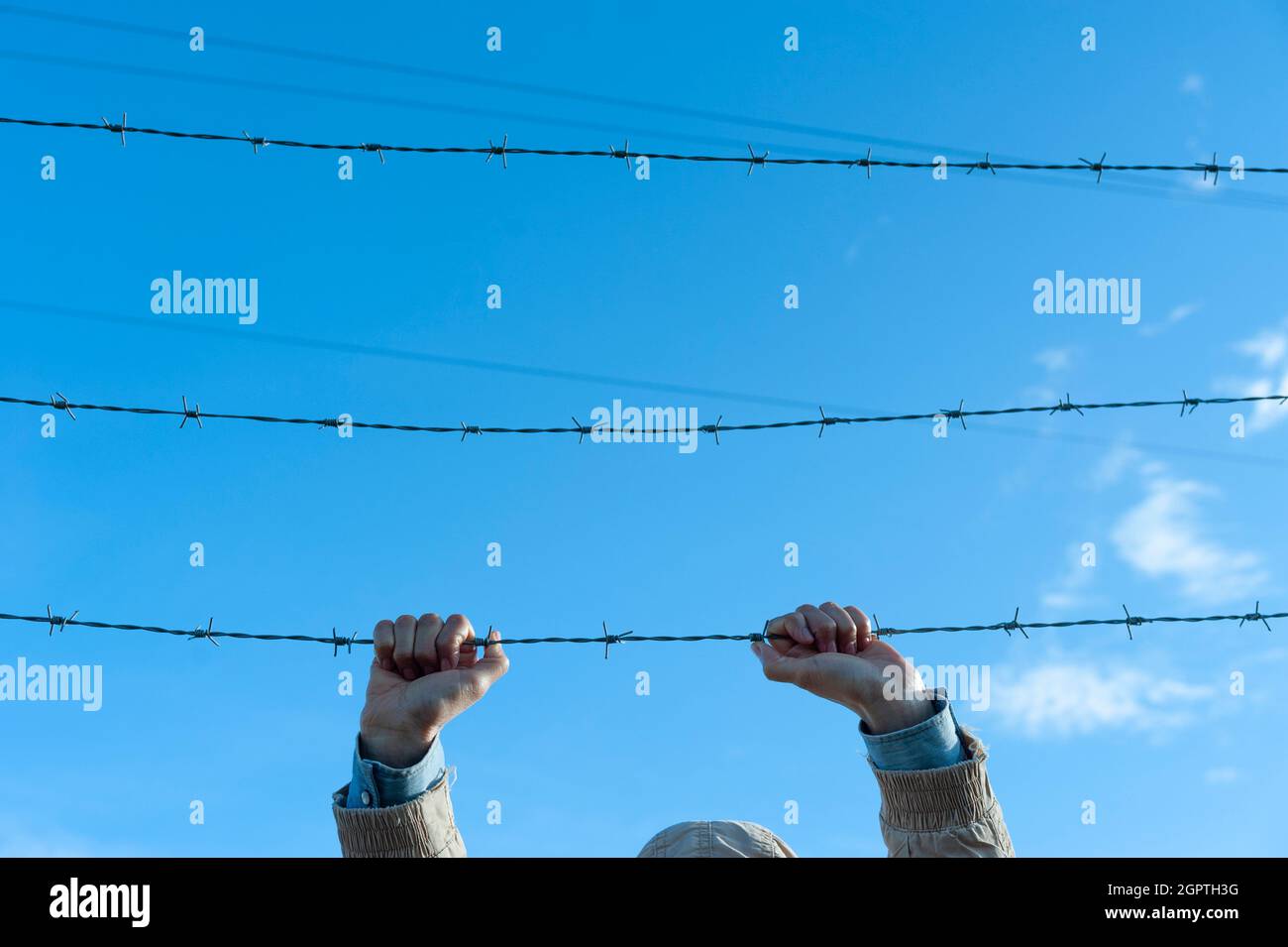 Lady's hand clinging to wire mesh Stock Photo - Alamy
