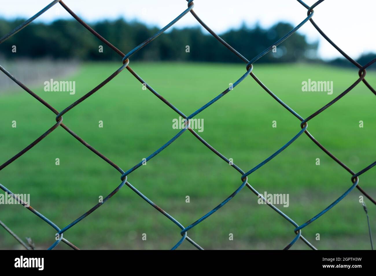 Barbed wire, wire mesh, iron fence Stock Photo - Alamy