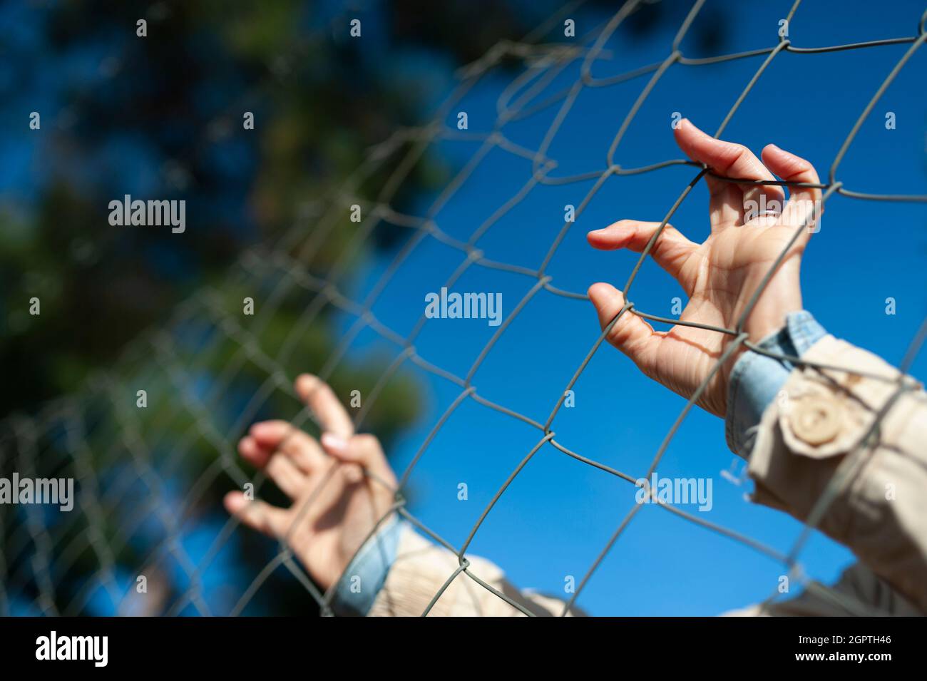 Lady's hand clinging to wire mesh, Behind the barrier Stock Photo - Alamy