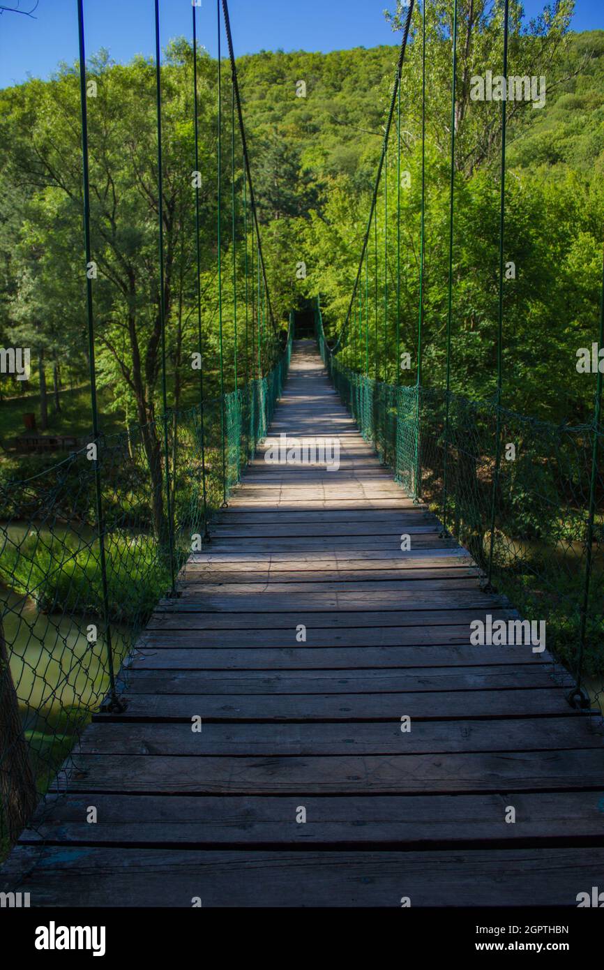 Bor forest hi-res stock photography and images - Alamy