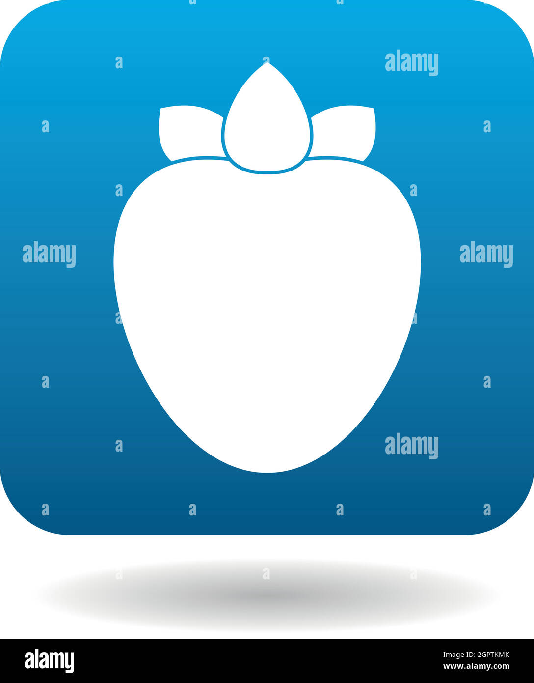 Organic persimmon fruit in Stock Vector Images - Alamy