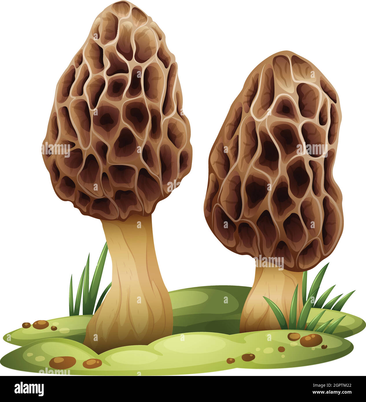 Fungi like Cut Out Stock Images & Pictures - Alamy