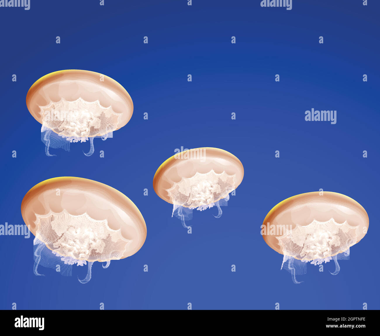 Fish beautiful Stock Vector Images - Alamy