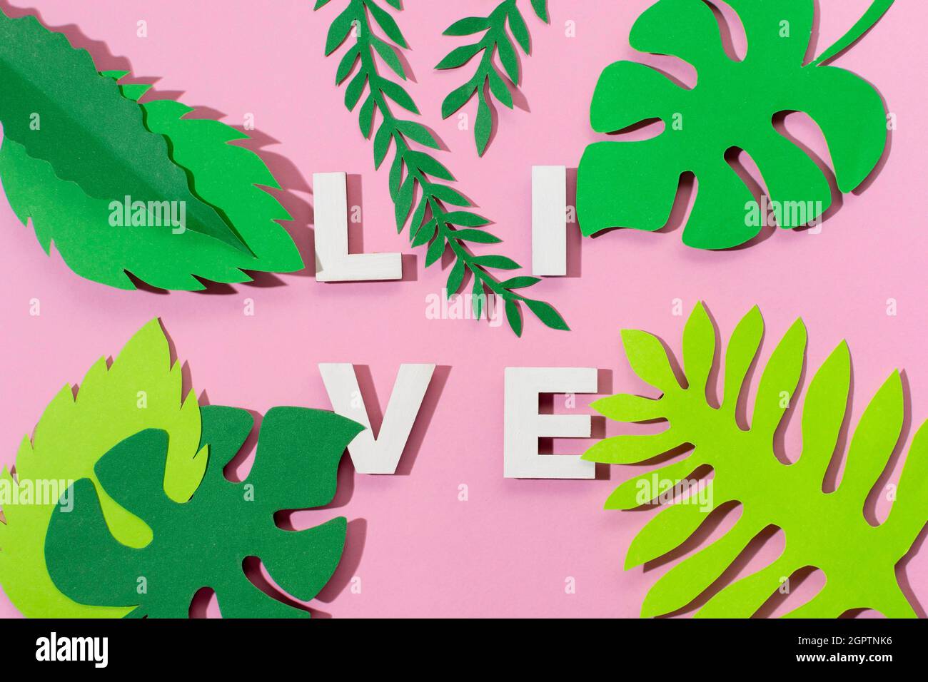 Nature lettering leaves paper style Stock Photo - Alamy