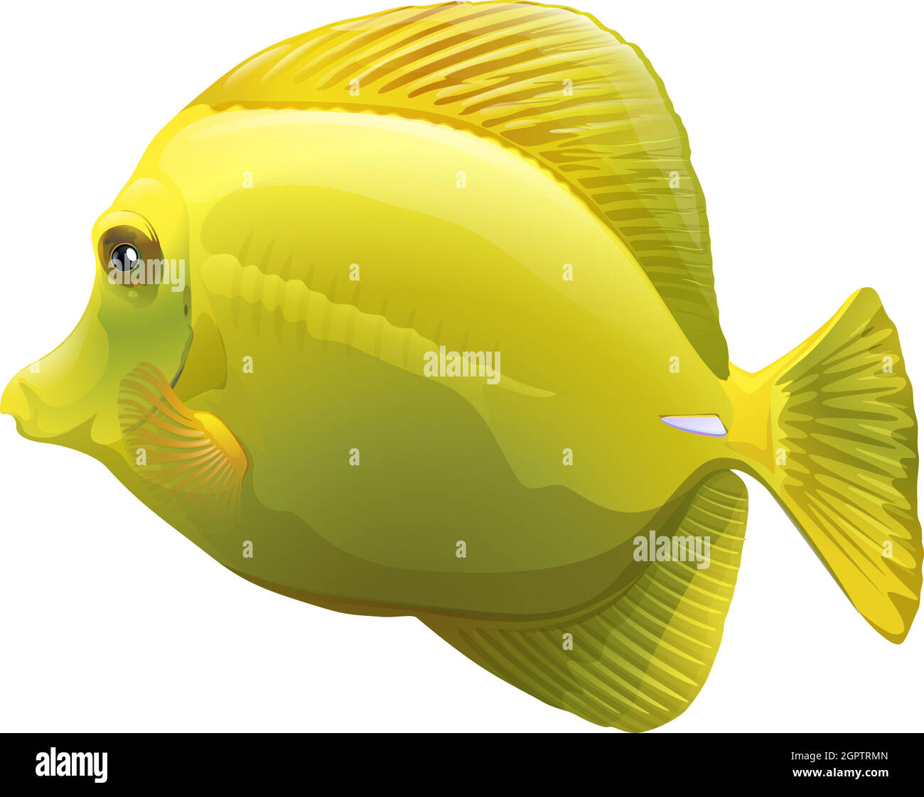 A yellow fish Stock Vector Image & Art - Alamy