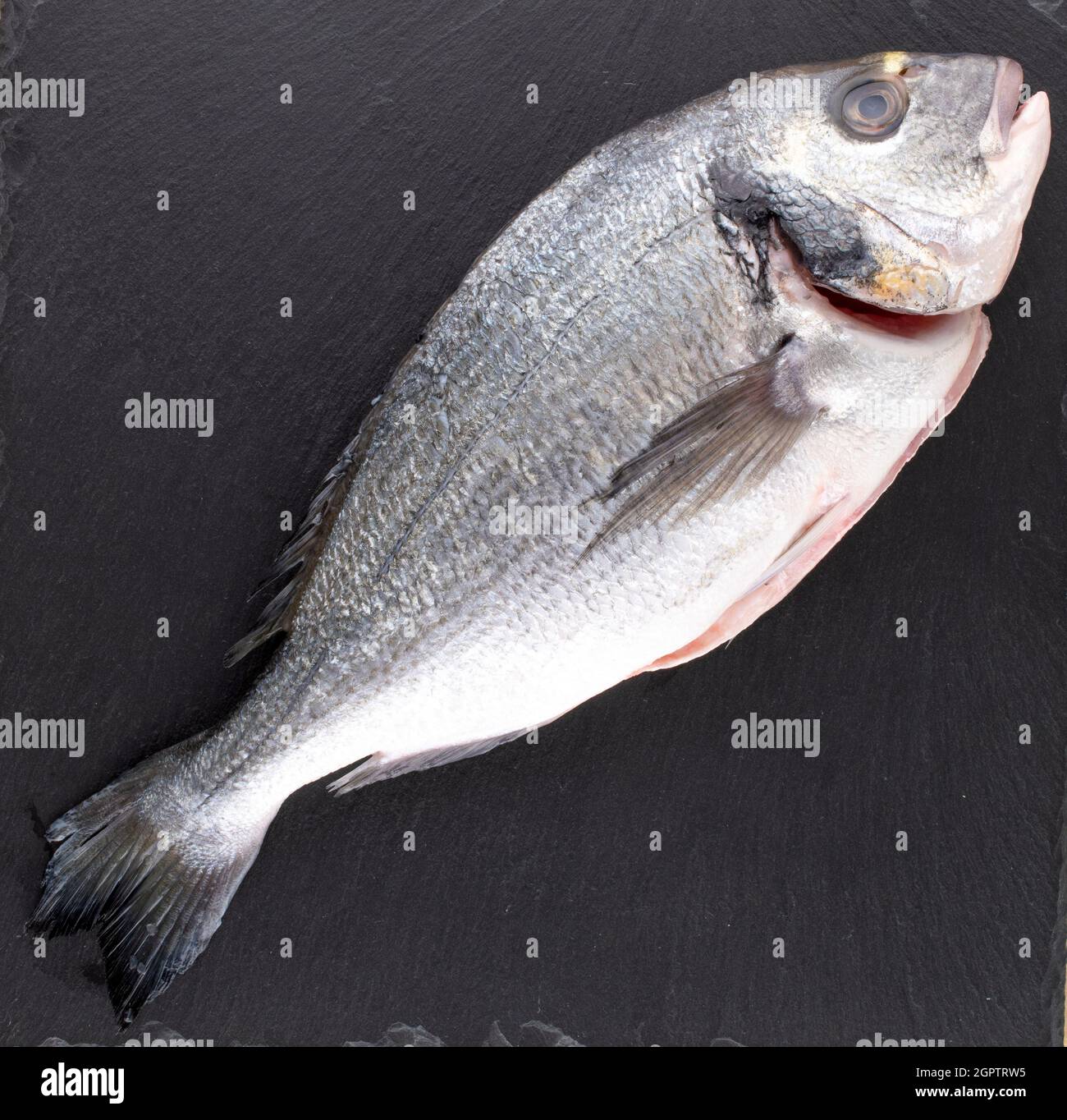 Cooking fresh dorado mediterranean seafood hi-res stock photography and ...