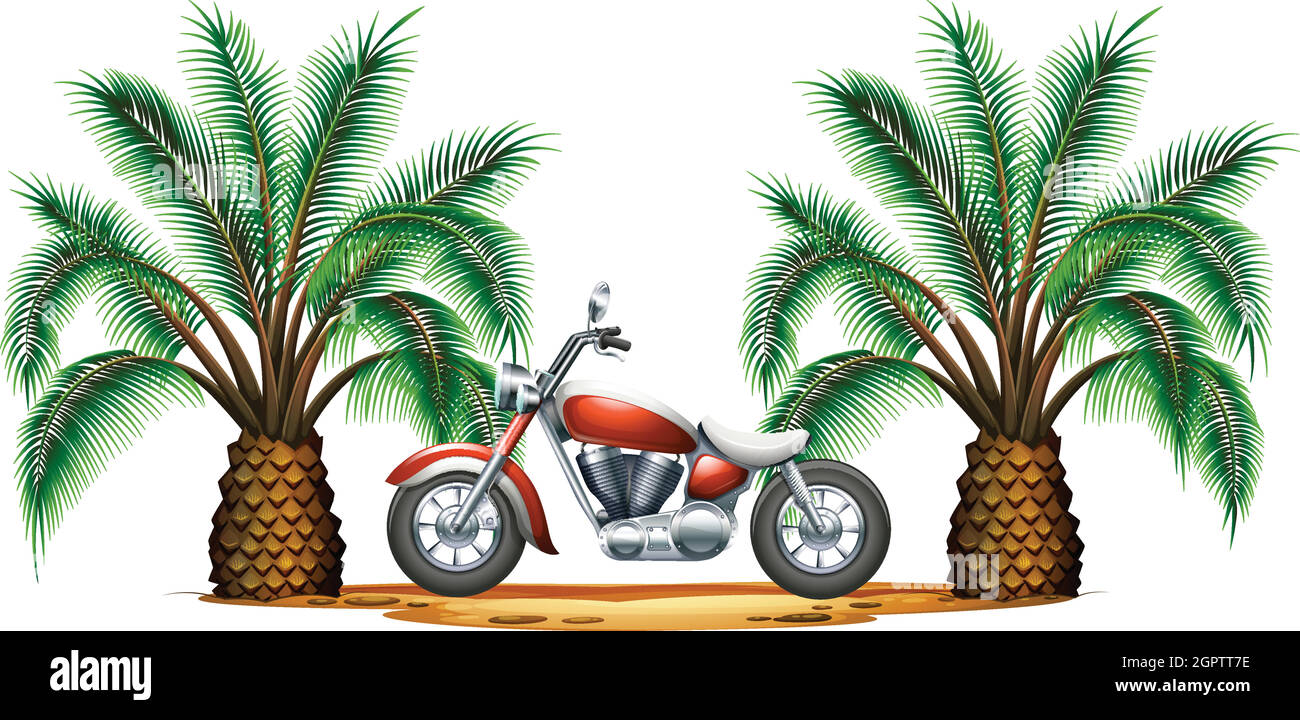 Classic motorcycle in garden Stock Vector Image & Art - Alamy