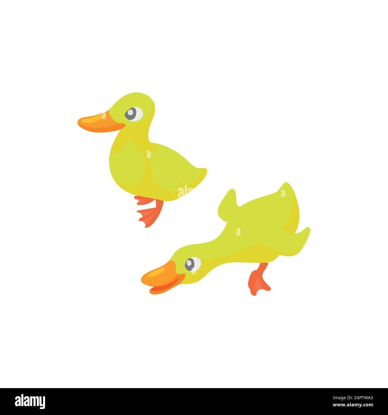 Two little ducks Stock Vector Images - Alamy