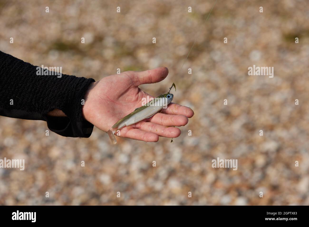 Artificial fishing bait shown in a hand Stock Photo - Alamy