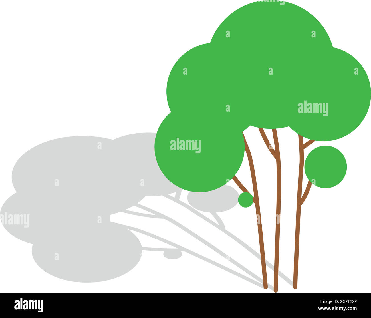 Isometric tree icon Cut Out Stock Images & Pictures - Alamy