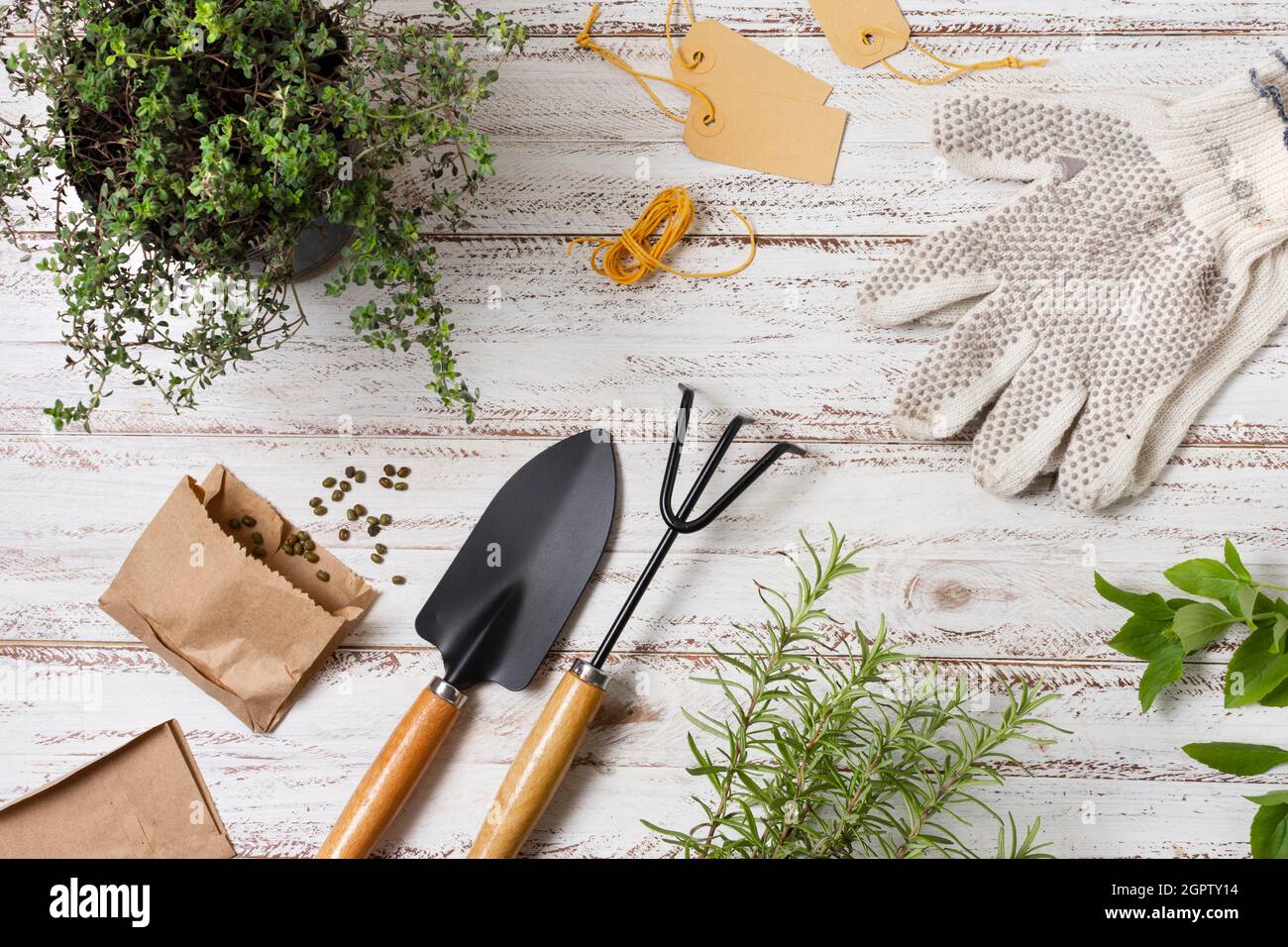 Plants gardening tools close up Stock Photo - Alamy