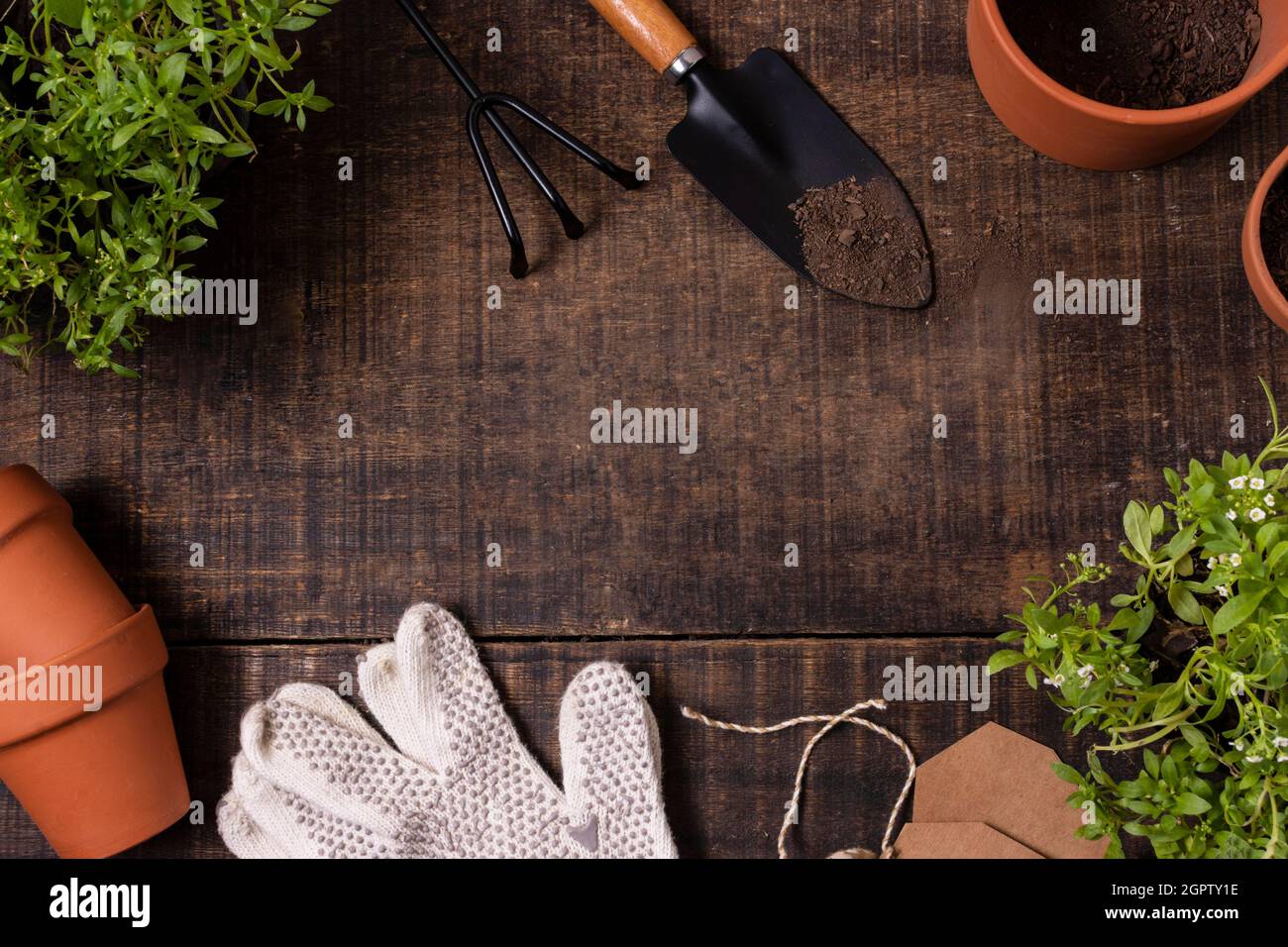 Plants gardening tools close up frame Stock Photo - Alamy