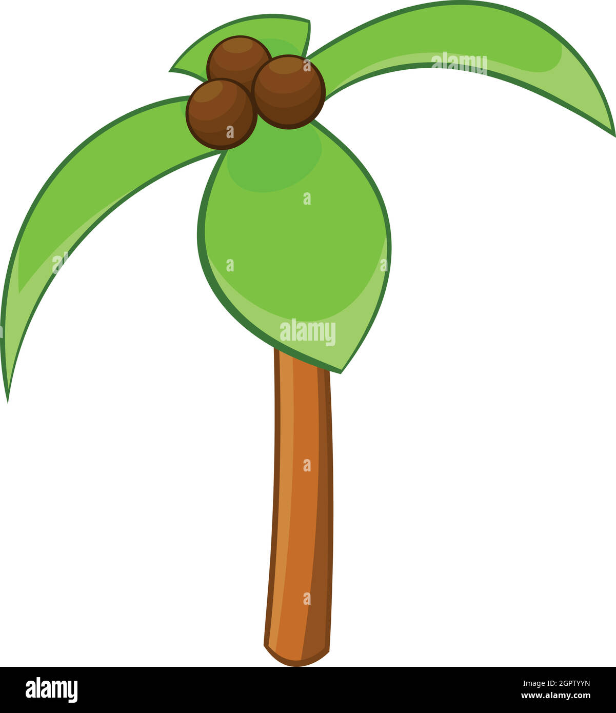 Green coconut in tree Stock Vector Images - Alamy