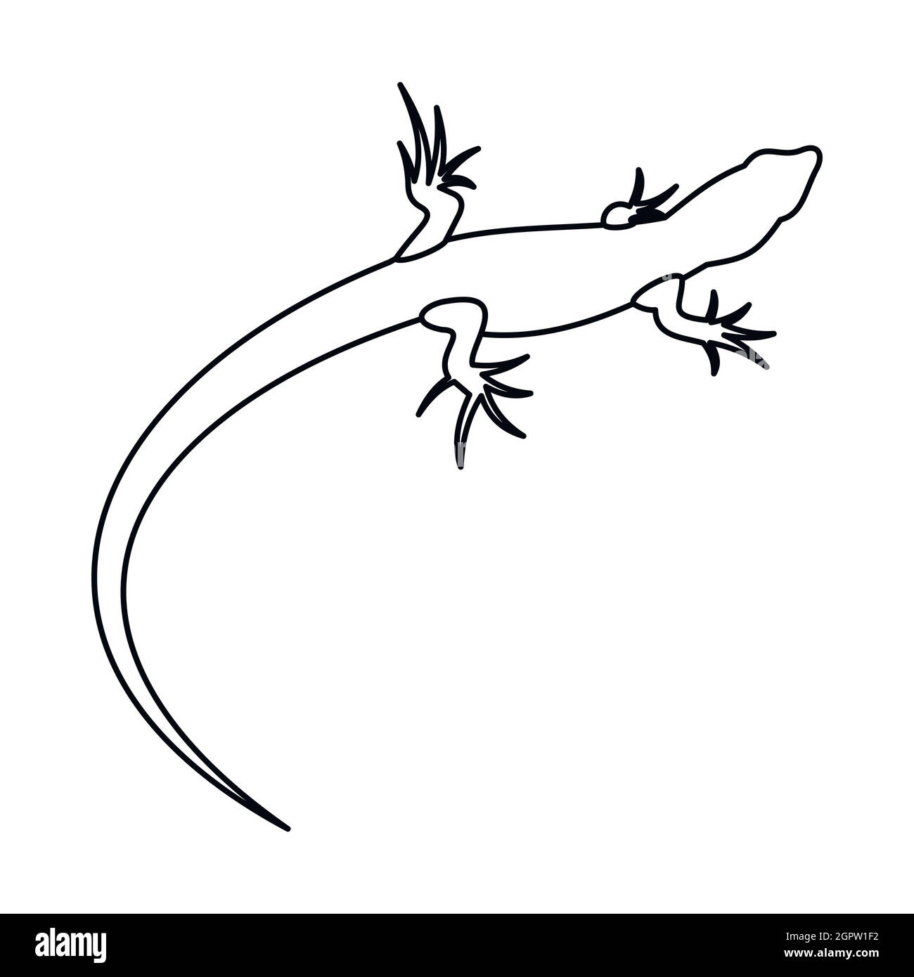 Lizard icon, outline style Stock Vector Image & Art - Alamy