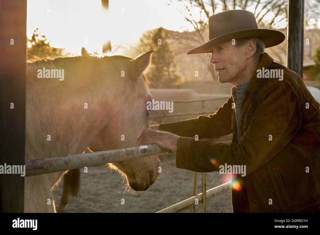 CRY MACHO (2021) CLINT EASTWOOD CLINT EASTWOOD (DIR) WARNER BROS ...