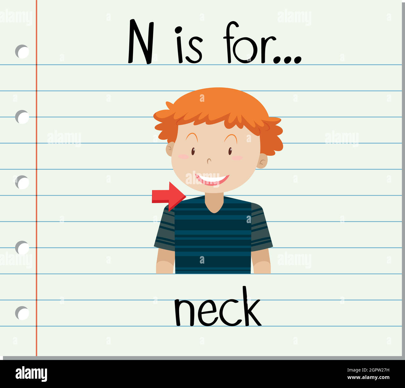 Flashcard alphabet N is for neck Stock Vector Image & Art - Alamy
