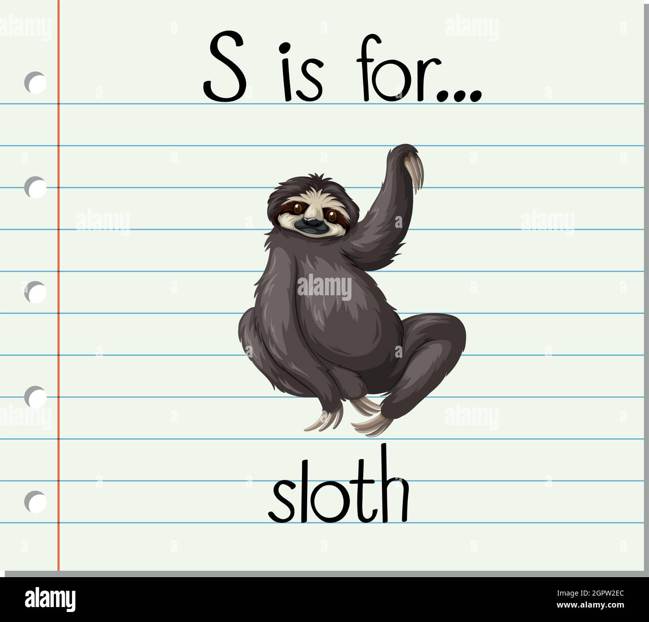 Flashcard letter S is for sloth Stock Vector Image & Art - Alamy