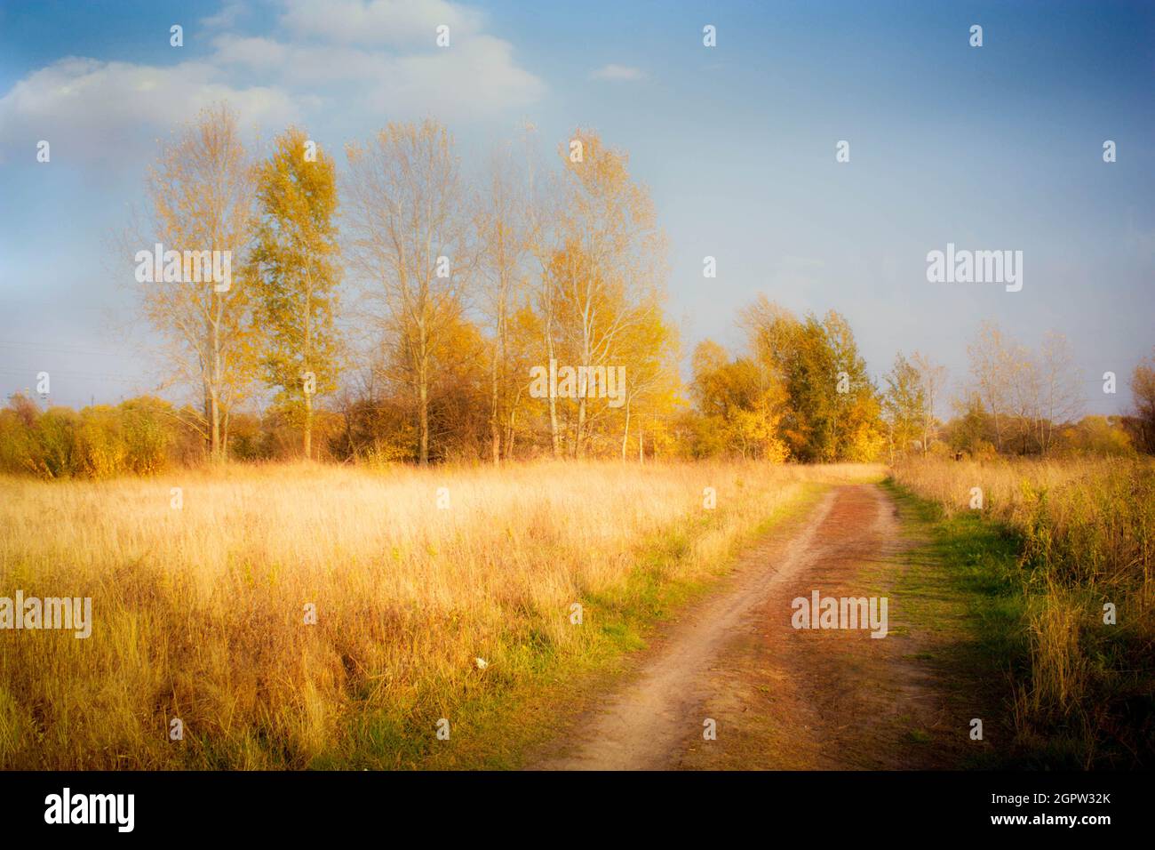 The Gold Autumn Stock Photo - Alamy