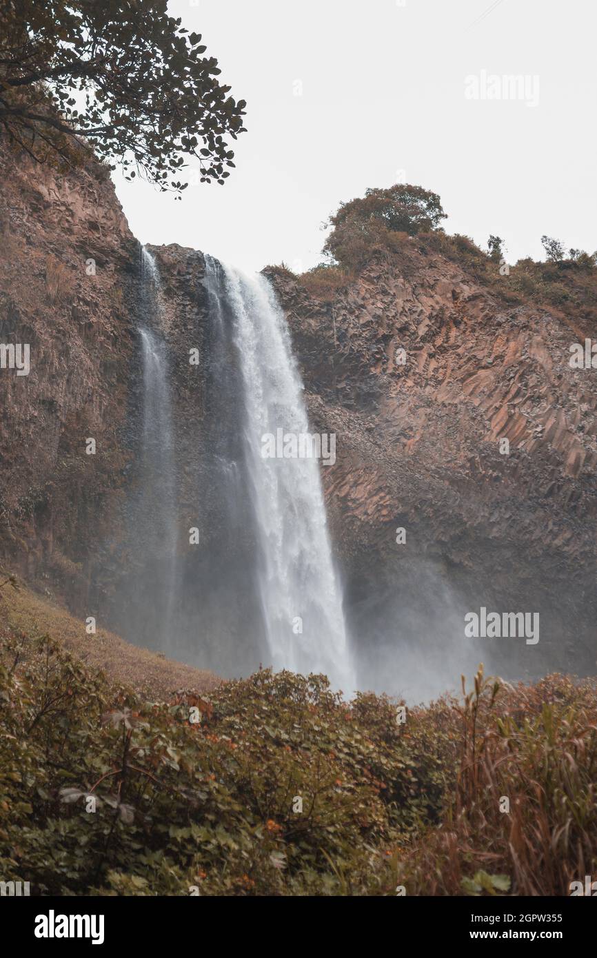 Waterfall in the forest in Ecuador Stock Photo - Alamy