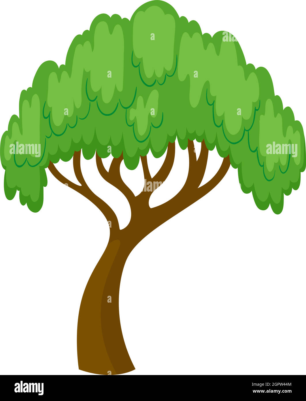 Willow tree on white background Stock Vector Image & Art - Alamy