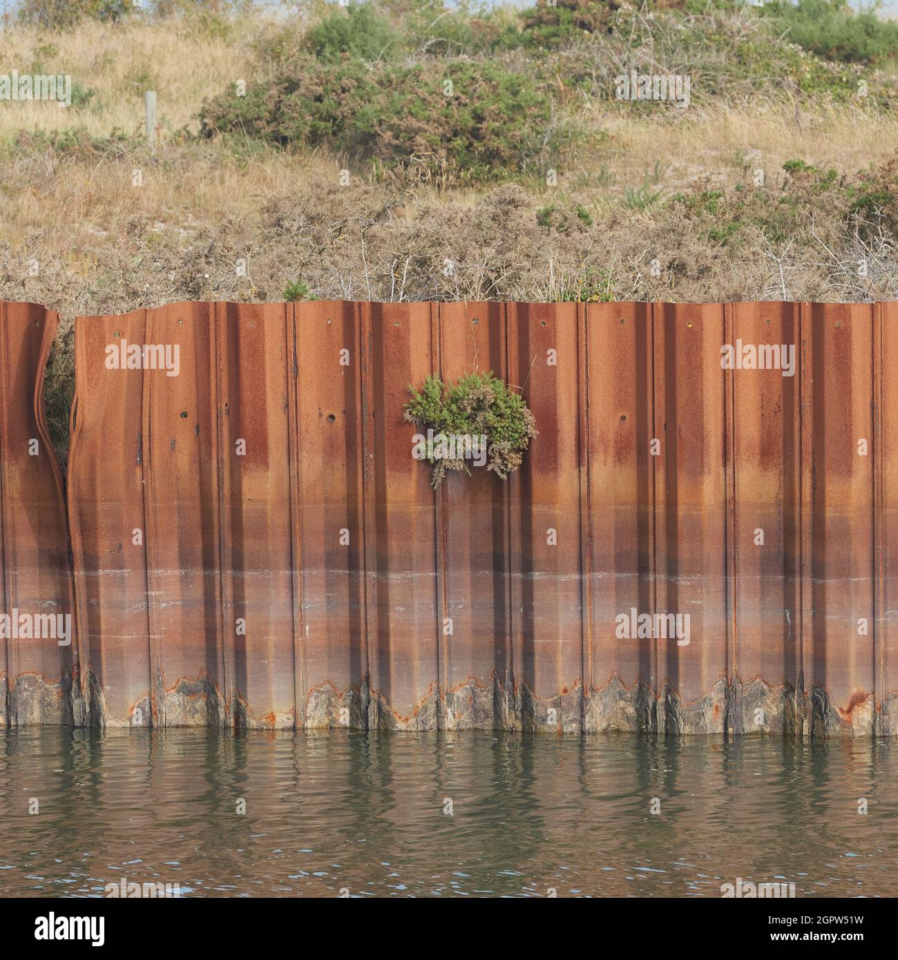 Rusty and neglected metal sea defences seen on the coast of Pagham ...