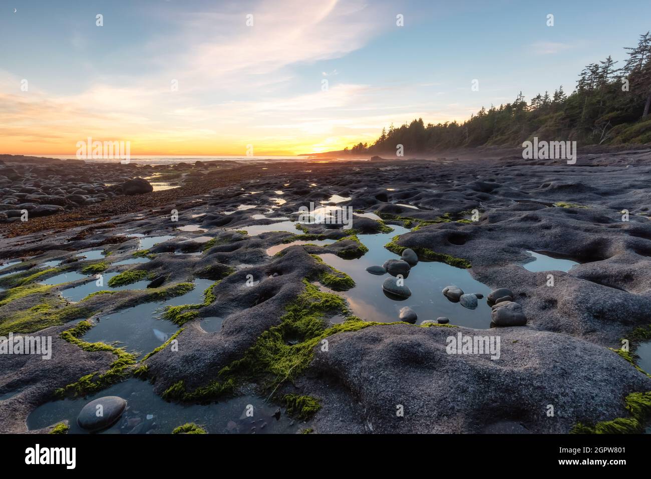 Botanical Beach on the West Coast of Pacific Ocean. Summer Sunny Sunset ...