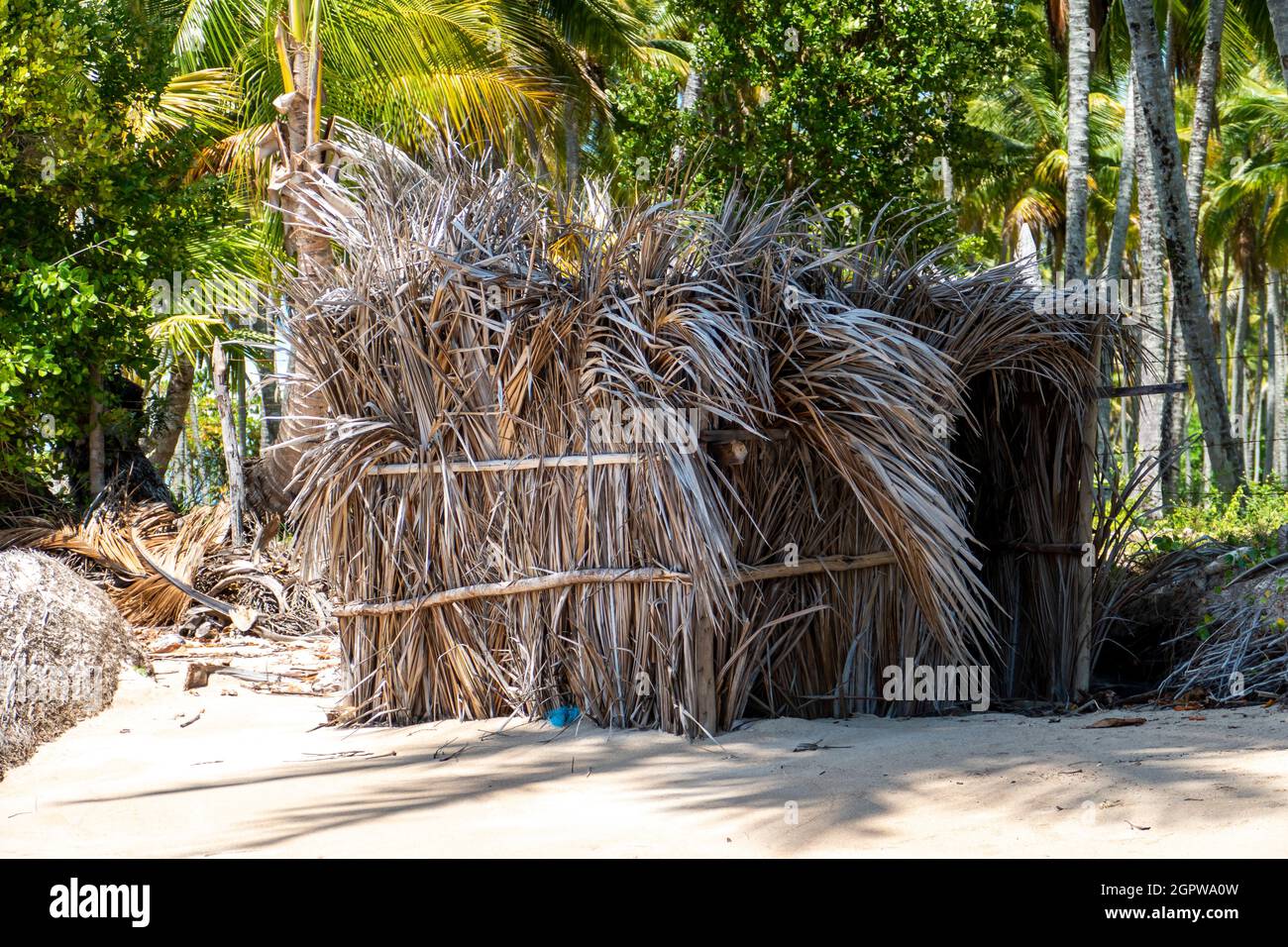 Root and branch house hi-res stock photography and images - Alamy