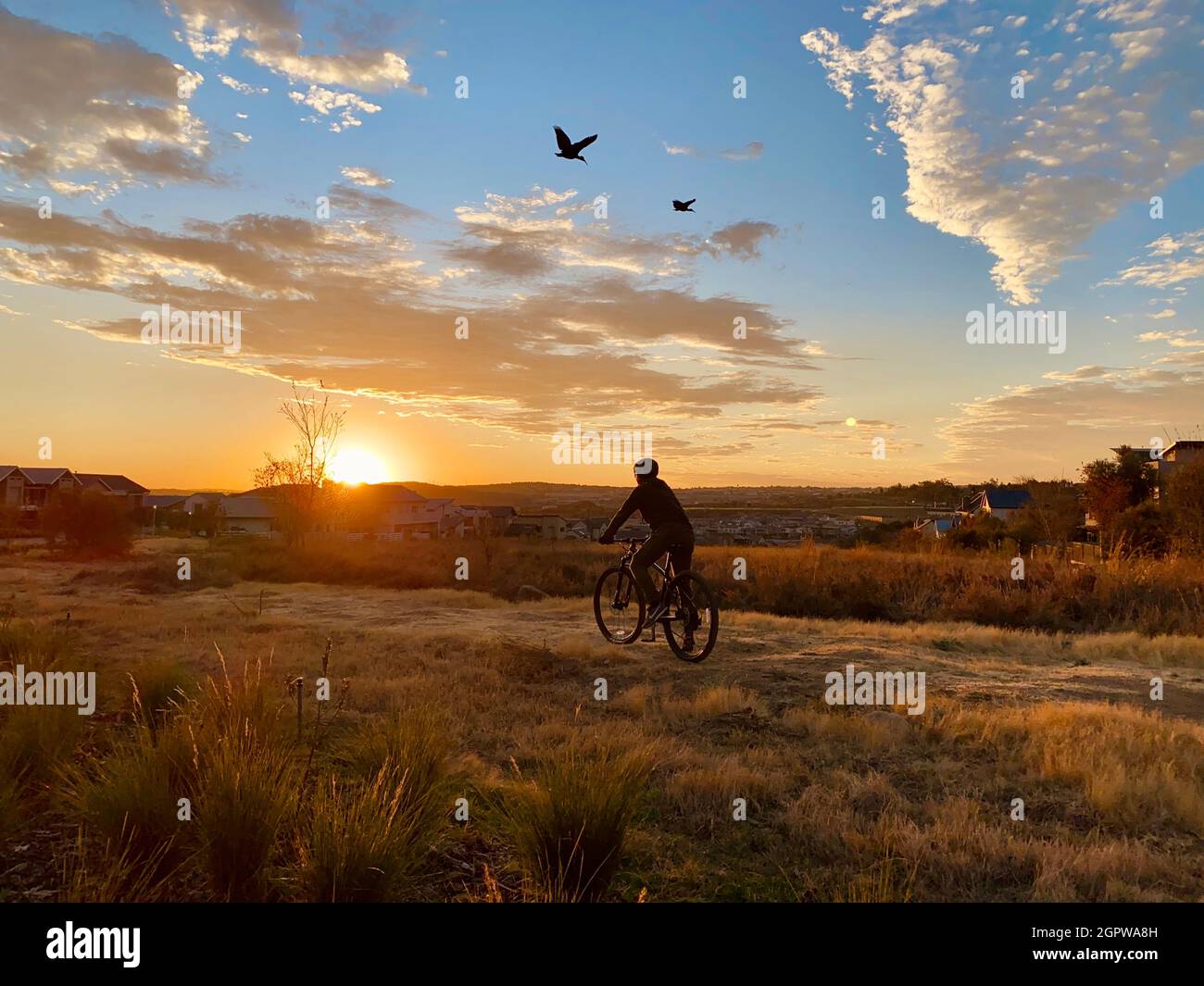 Bird chaser hi-res stock photography and images - Alamy
