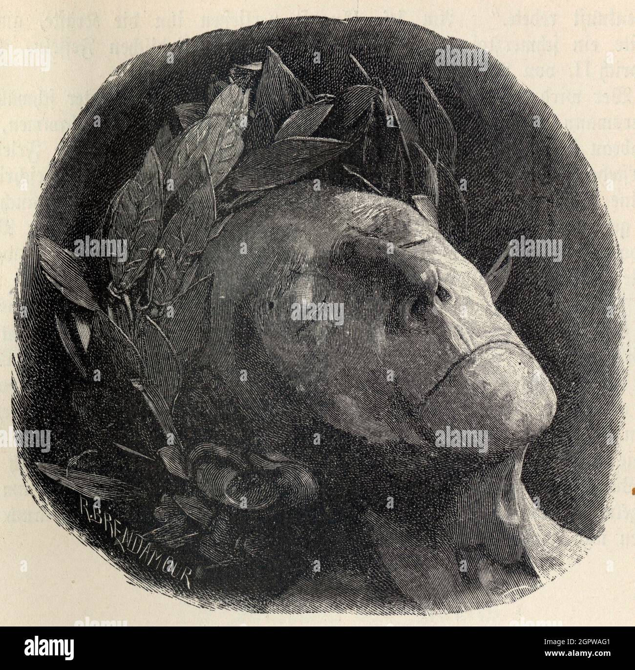 Death mask of Frederick II. Private Collection Stock Photo - Alamy