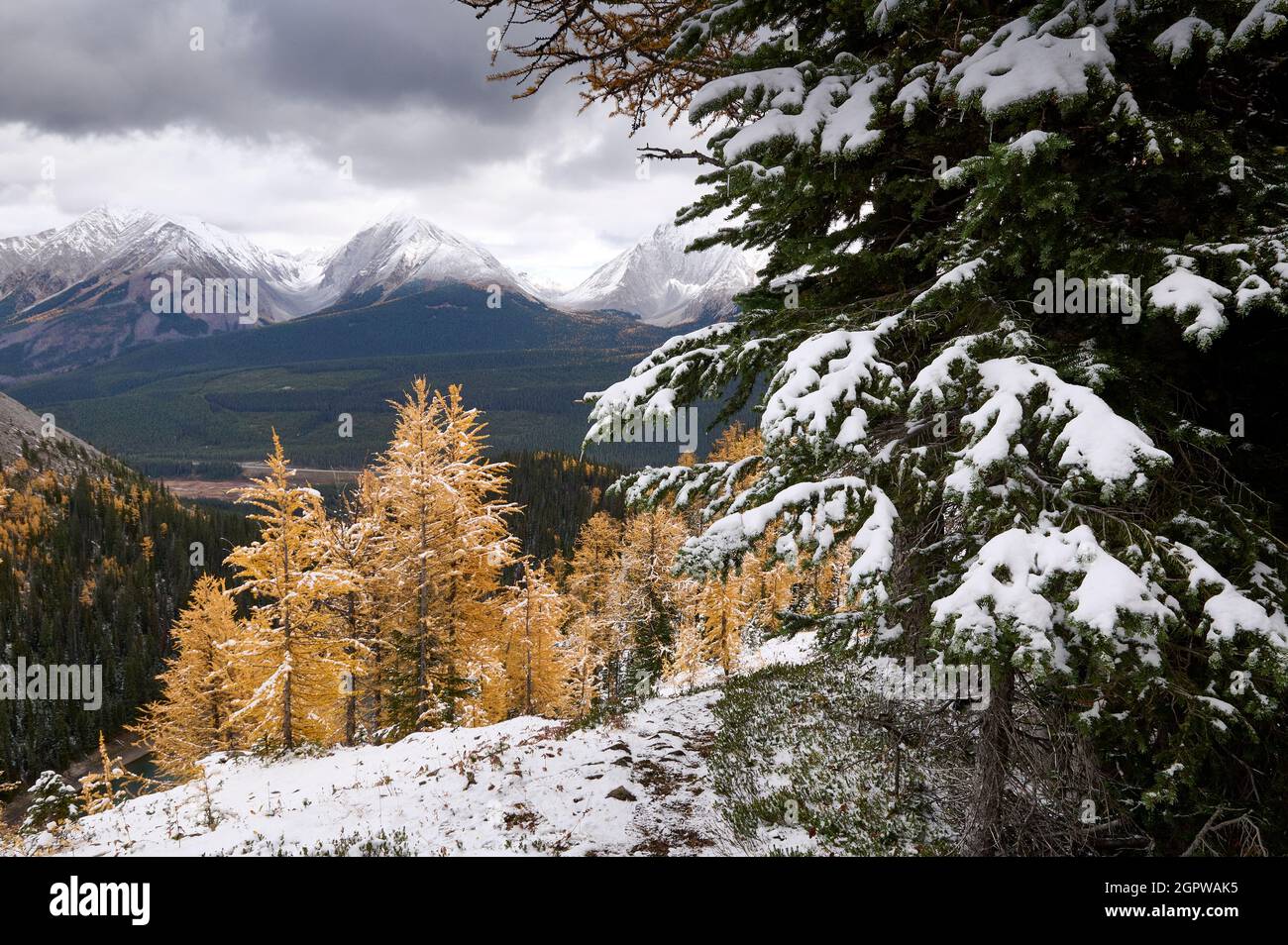 View above Tryste Lake toward The Tower and Mount Engadine, Spray ...