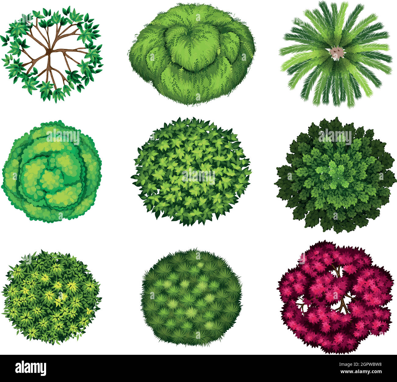 Trees top down view Stock Vector Images - Alamy