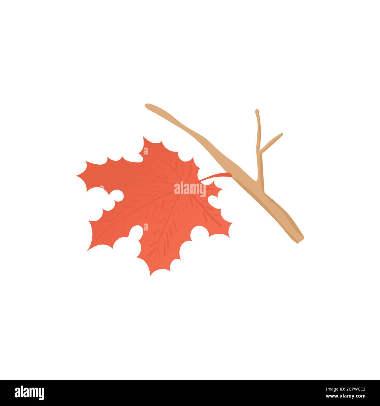 Maple leaf with branch icon, cartoon style Stock Vector Image & Art - Alamy