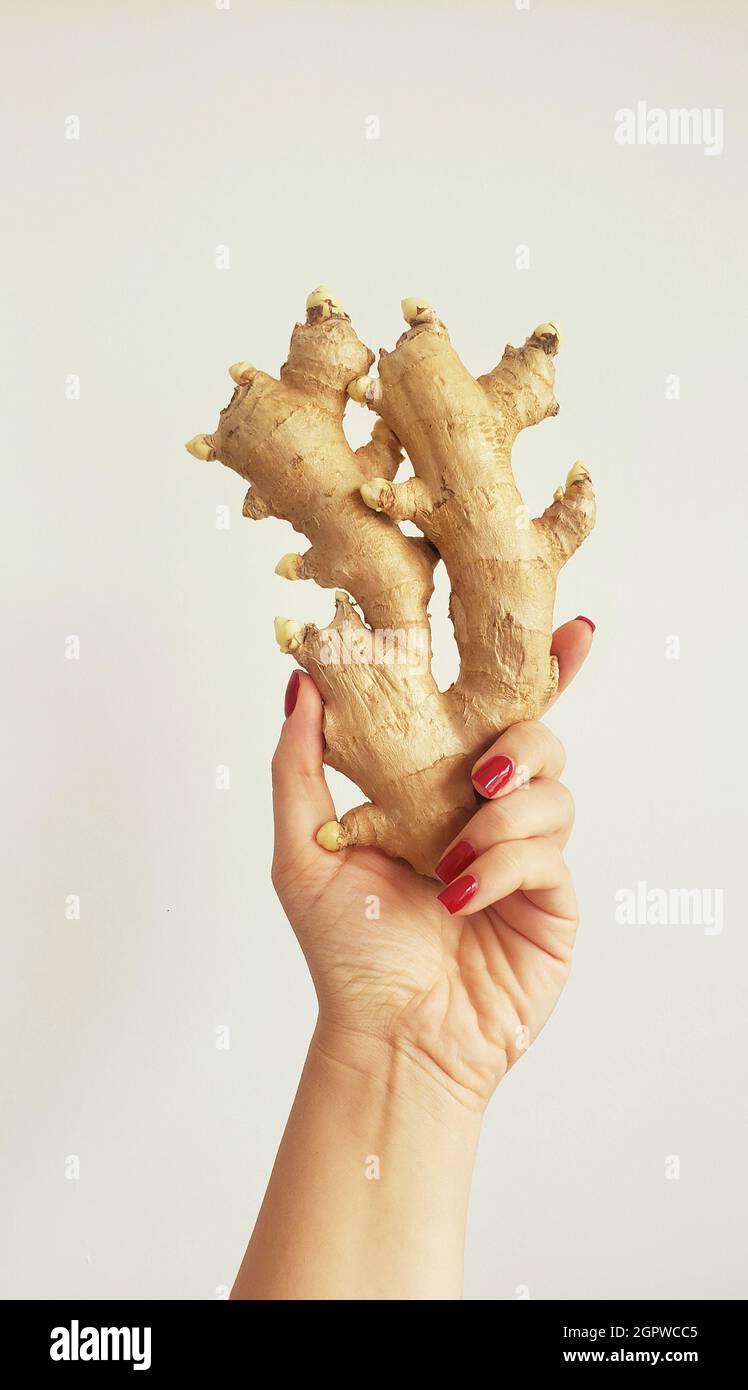 Woman hand holding ginger root hi-res stock photography and images - Alamy