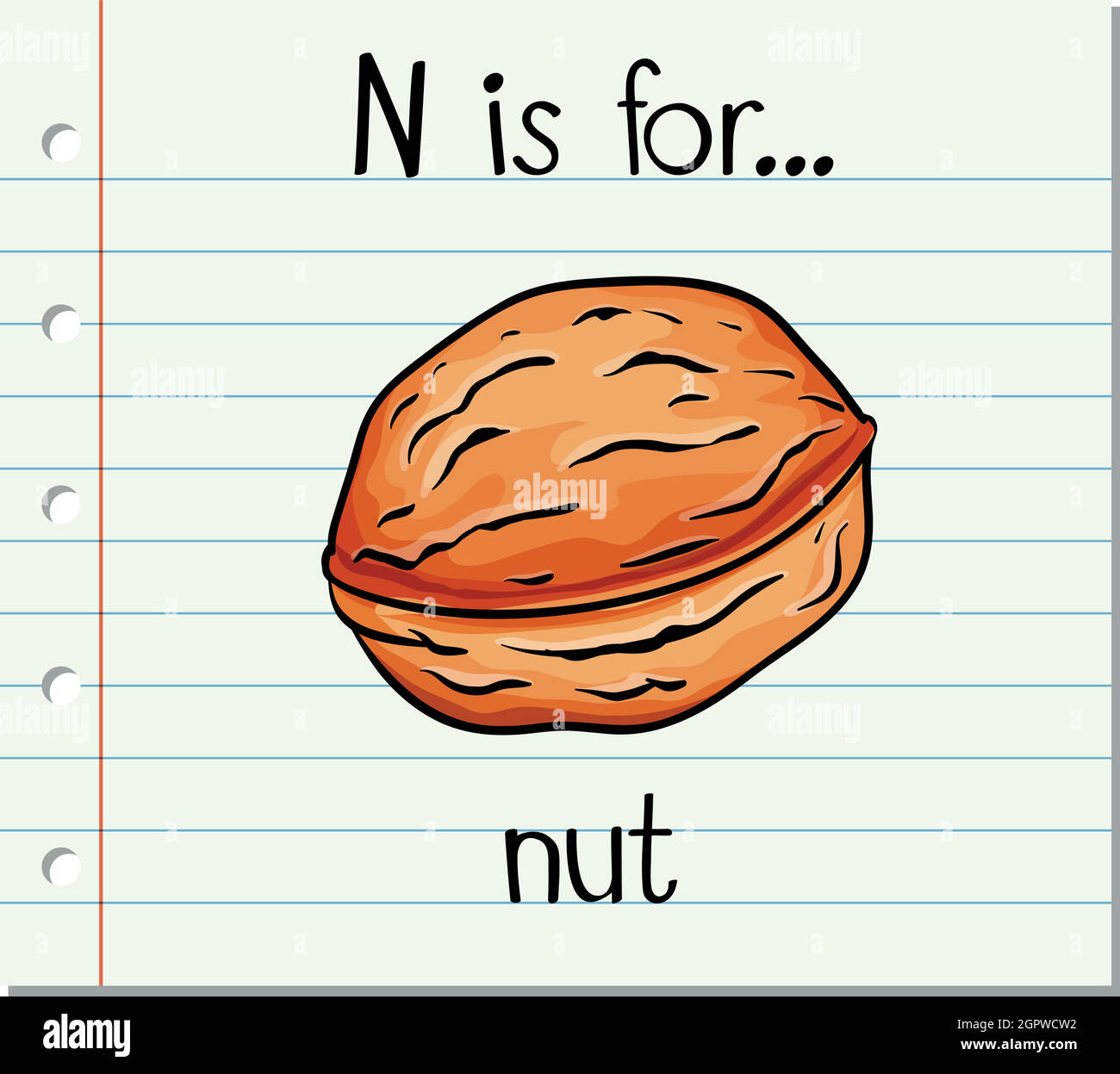 Flashcard letter N is for nut Stock Vector Image & Art - Alamy