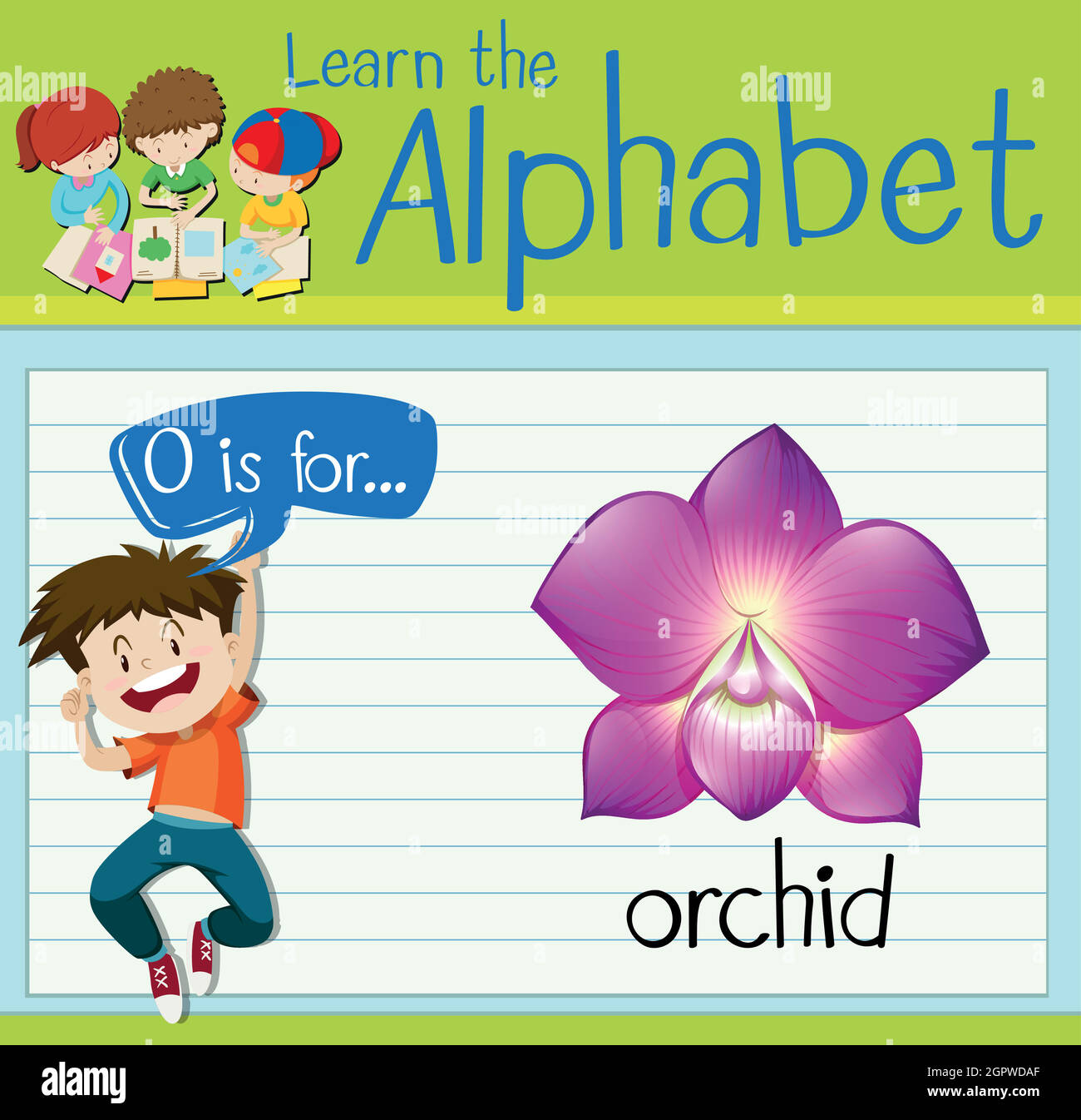 Flashcard letter O is for orchid Stock Vector Image & Art - Alamy